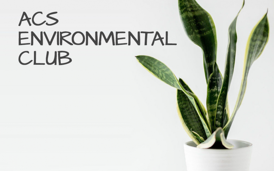 ACS Environmental Club - Annunciation Catholic School